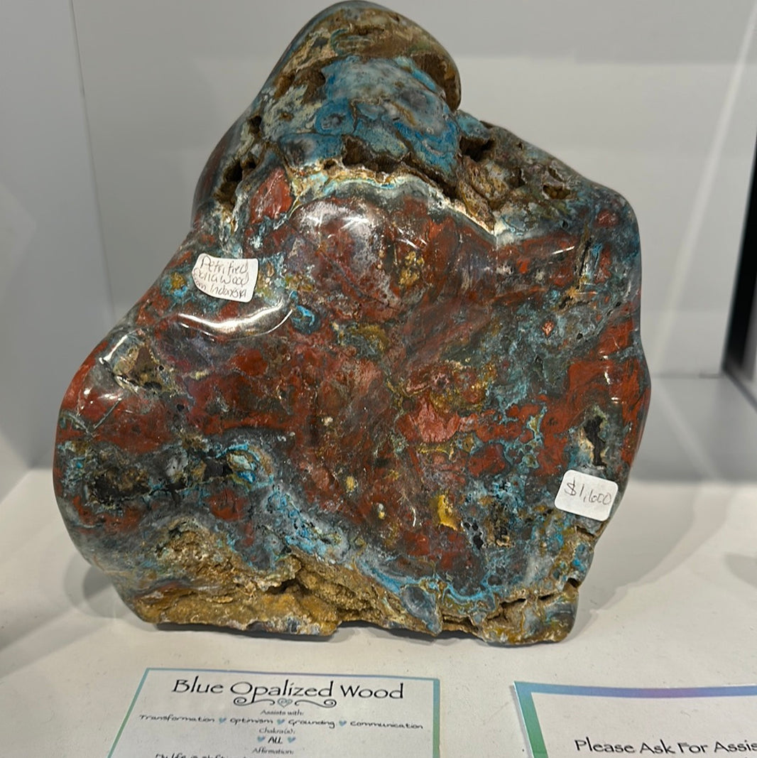 Rocks, Crystals, and Gems - Tampa Bay’s Best Crystal Shop