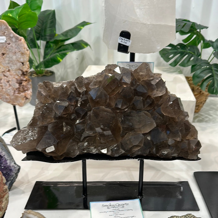 Rocks, Crystals, and Gems - Tampa Bay’s Best Crystal Shop